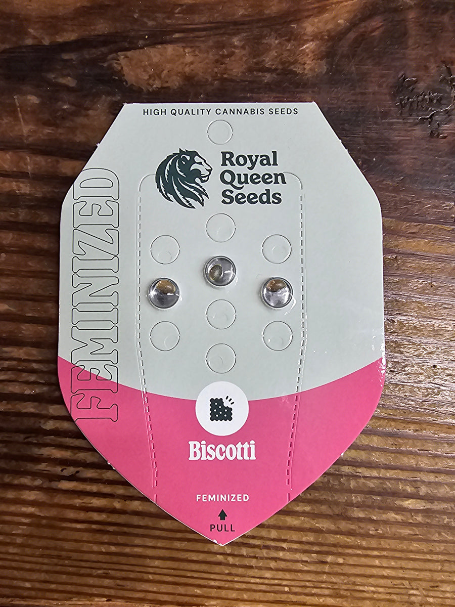Royal Queen Feminized Seed Pack of 3 – East Coast Hemp Supply Inc